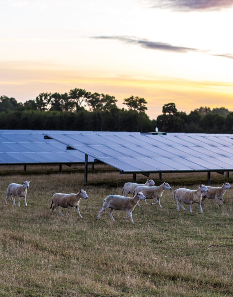 Bluefield | About us