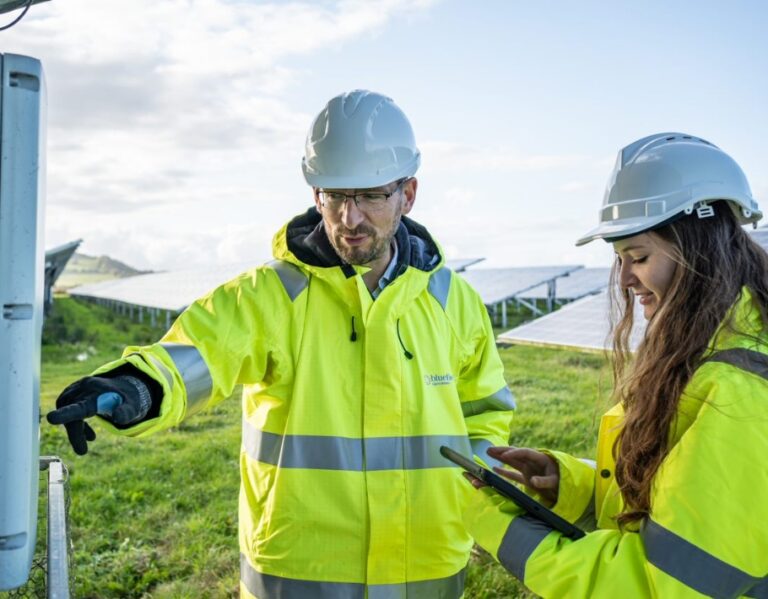 Bluefield Services | Optimisation