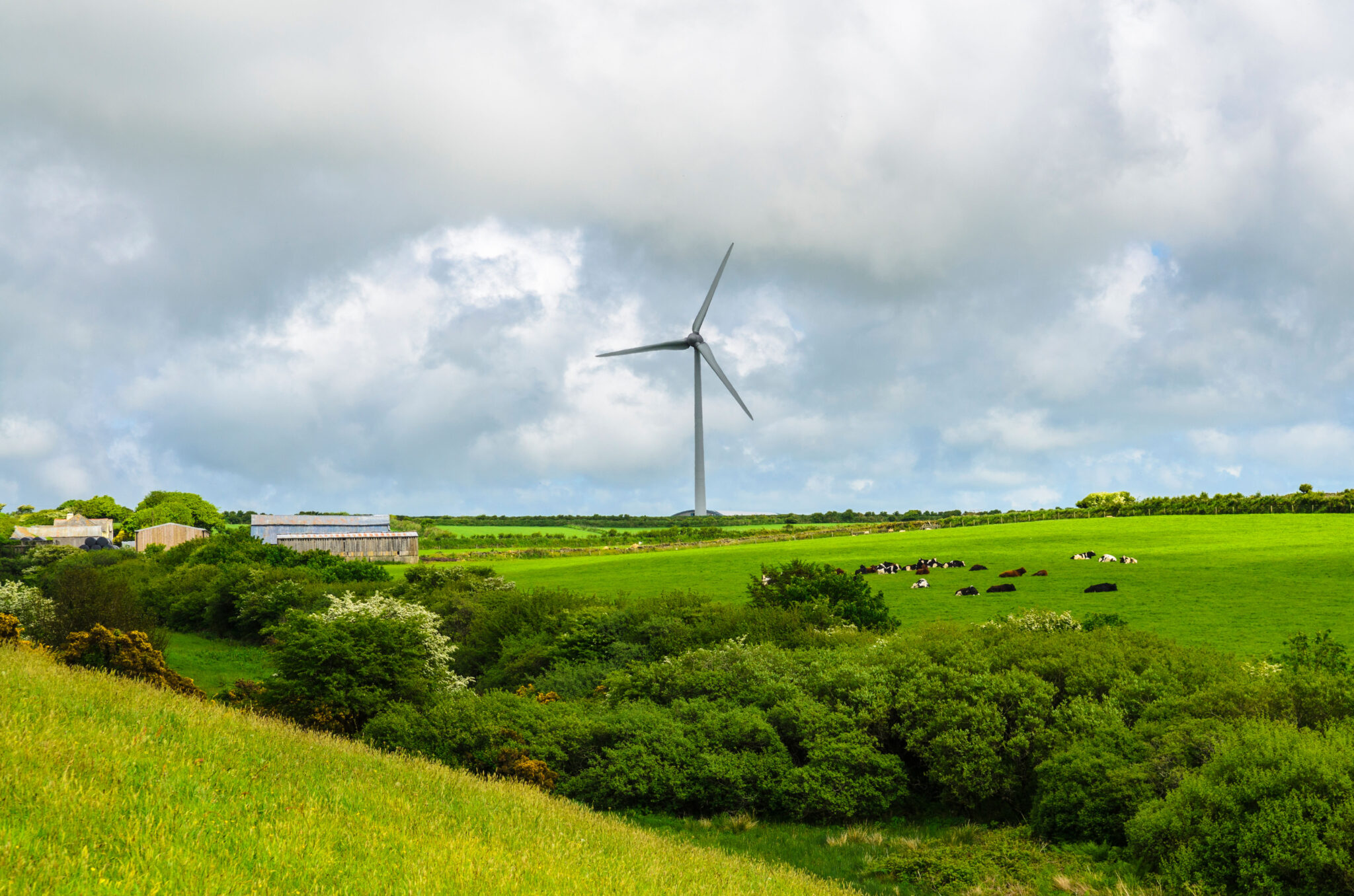 Bluefield | Why wind? Harnessing the Dynamic Power of Wind